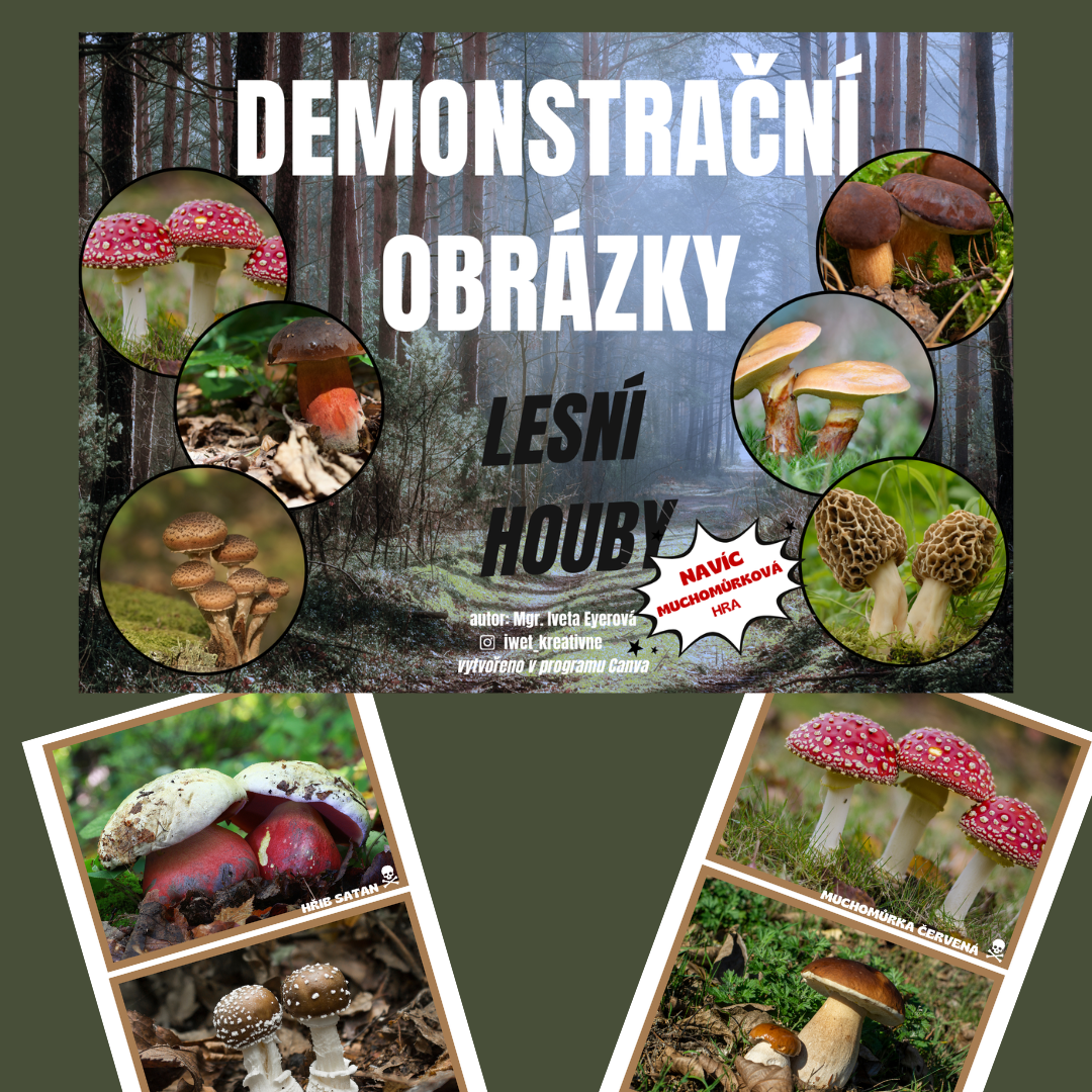 LESNÍ HOUBY (demonstrační obrázky) + Muchomůrková hra - Prvouka | UčiteléUčitelům.cz